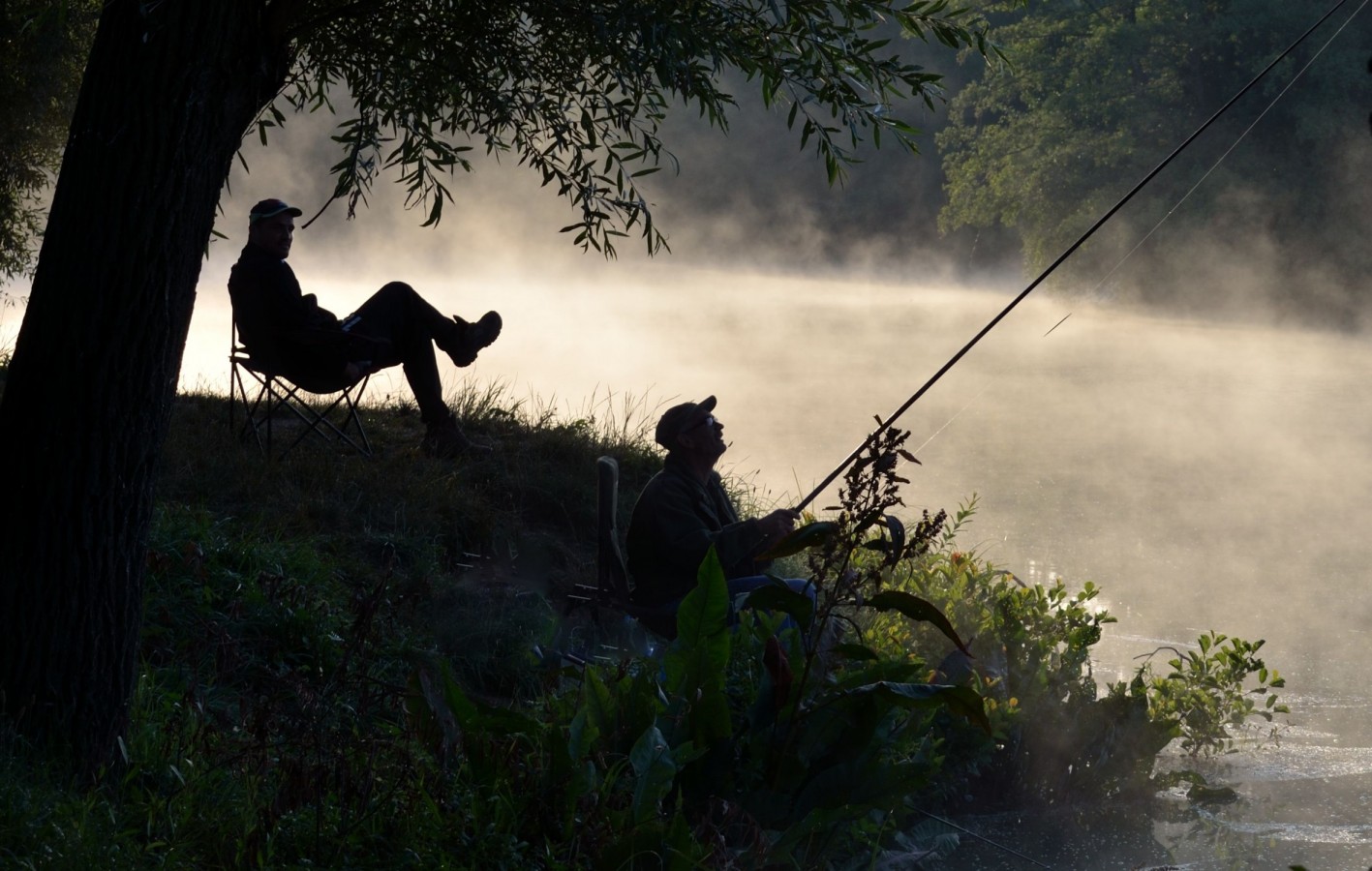 Dominique Henry Photographe